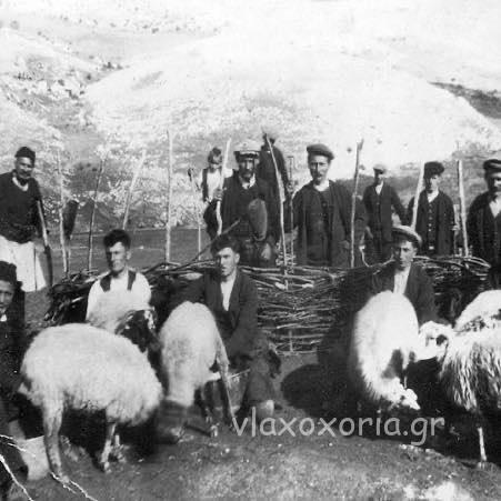 Μεγάλα Λιβάδια του Πάικου – vlaxoxoria.gr