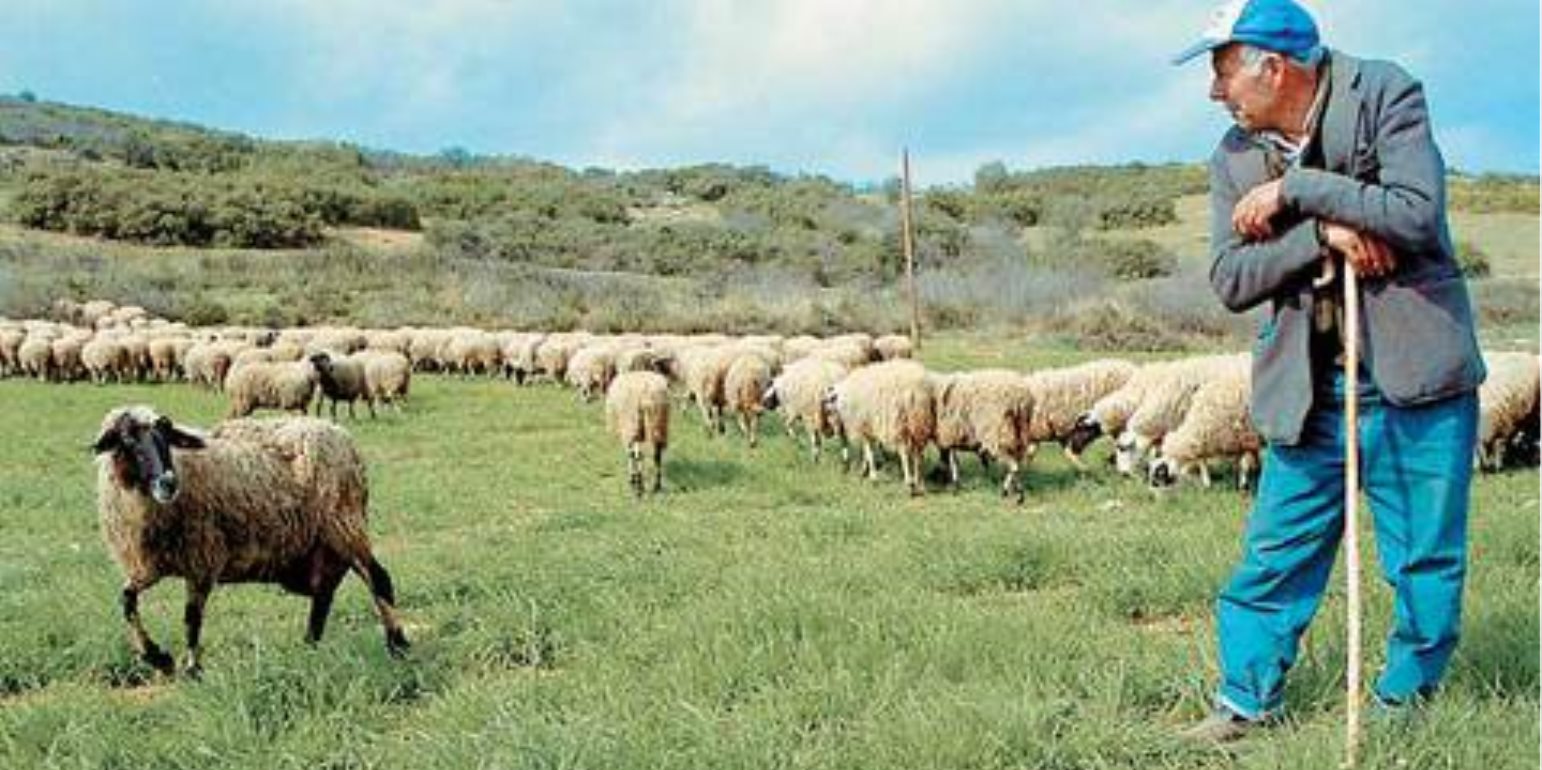 Το λεξικό των τσοπαναραίων: Λέξεις που όλοι έχουμε ακούσει αλλά δεν ...